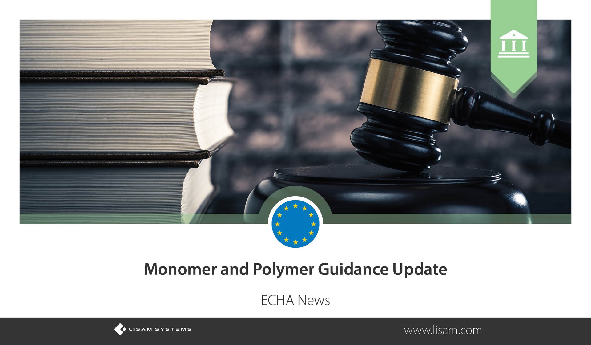 Monomer and Polymer Guidance Update - Lisam Lisam